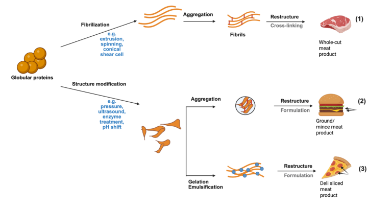 Deep dive: Fermentation protein ingredients and food functionality ...
