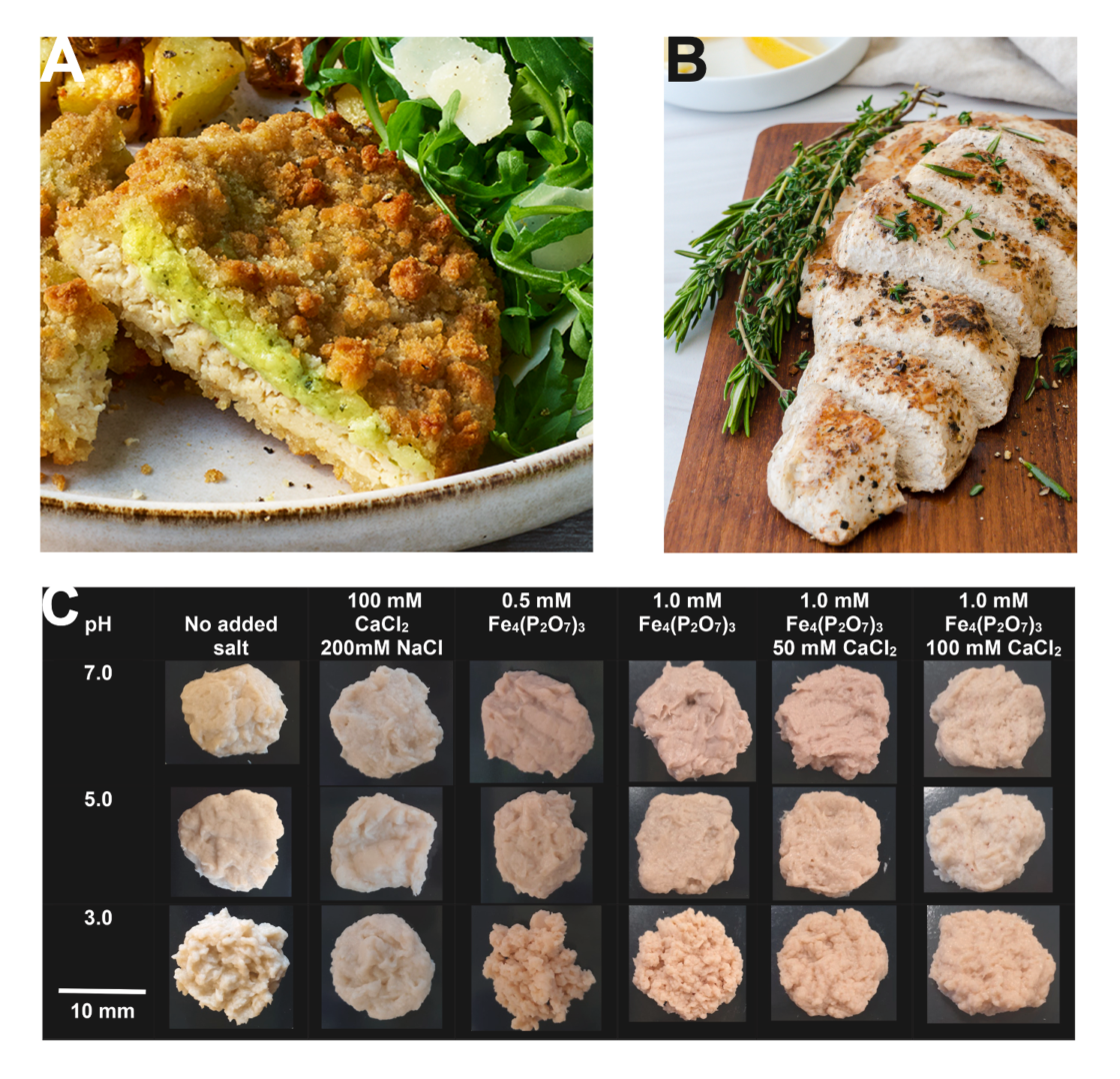 Deep dive: Fermentation protein ingredients and food functionality ...
