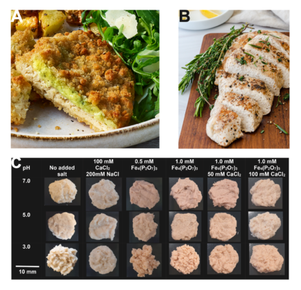 Deep dive: Fermentation protein ingredients and food functionality ...