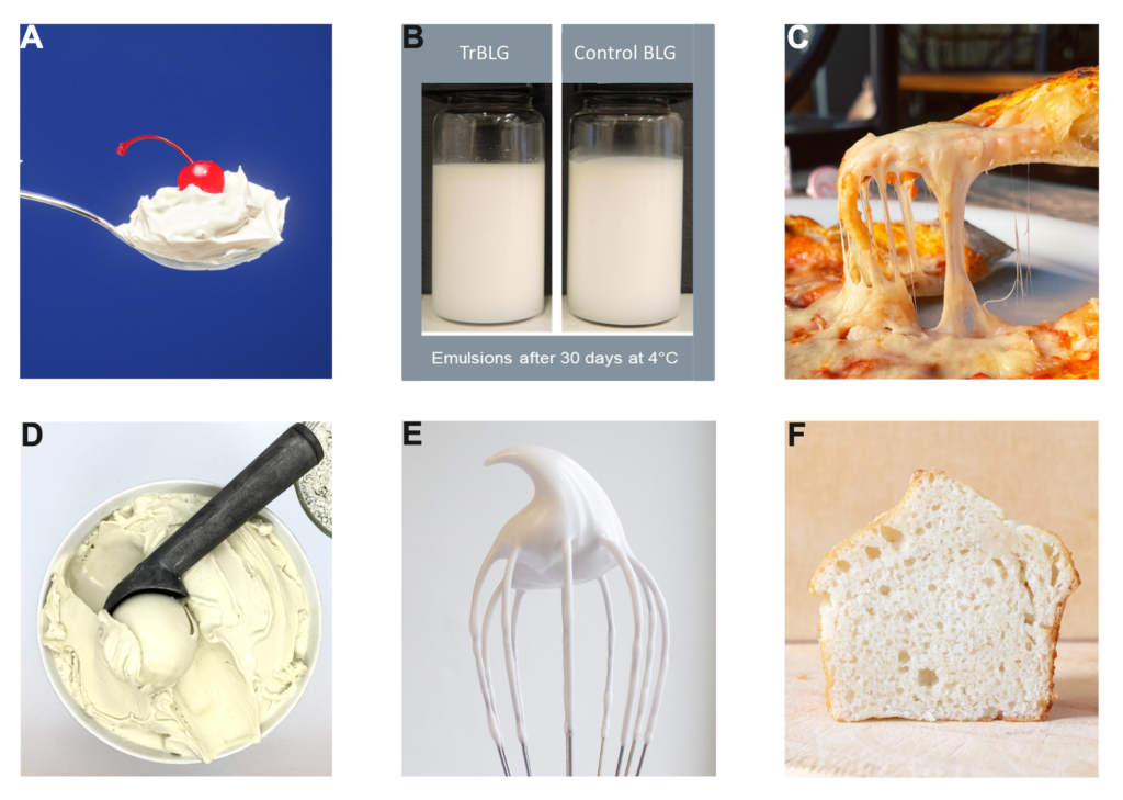 Deep dive: Fermentation protein ingredients and food functionality ...